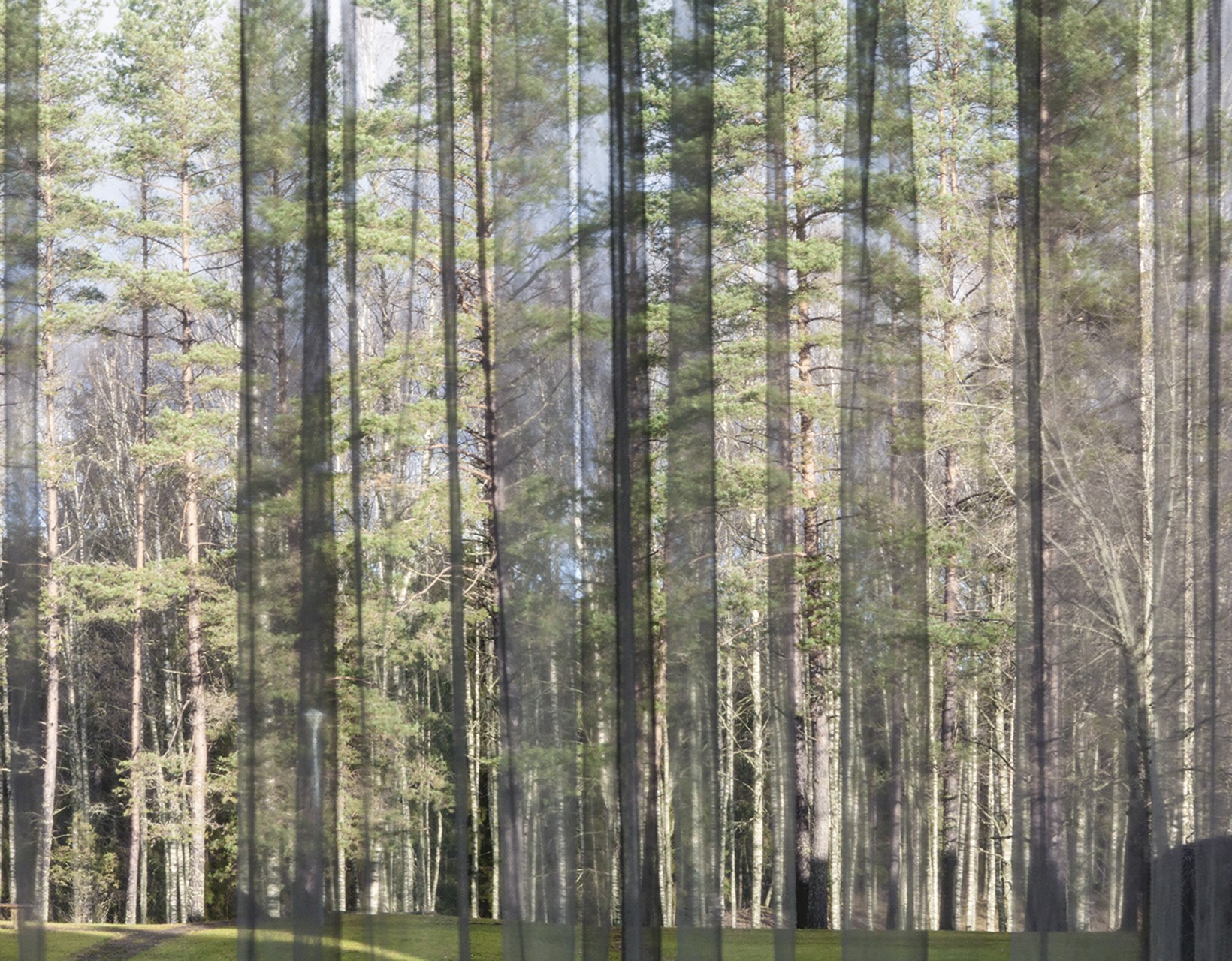 Residents - Berlin Sessions Residency Program